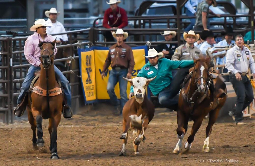 Rodeo legend Jack Hannum’s son within reach of world title | News ...